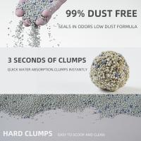 China Bentonite Cat Litter 0.8-3.5mm Fast Clumping Super Deodorizing Eco-Friendly OEM for sale