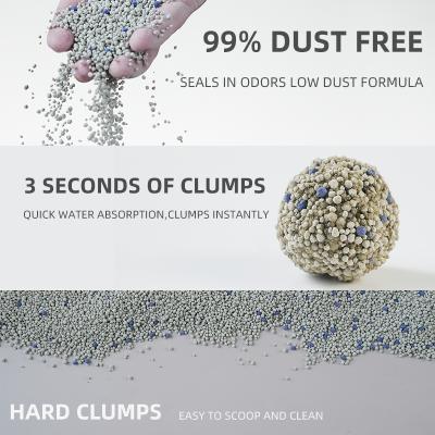 China Bentonite Cat Litter 0.8-3.5mm Fast Clumping Super Deodorizing Eco-Friendly OEM for sale