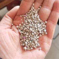 China Premium Bentonite Cat Litter 0.8-3.5mm Strong Clumping Low Dust Odor Control OEM Factory for sale