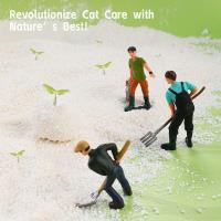 China Eco-Friendly Clumping Cassava Cat Litter 300% Water Absorption Biodegradable Plant-Based Odor Control for sale