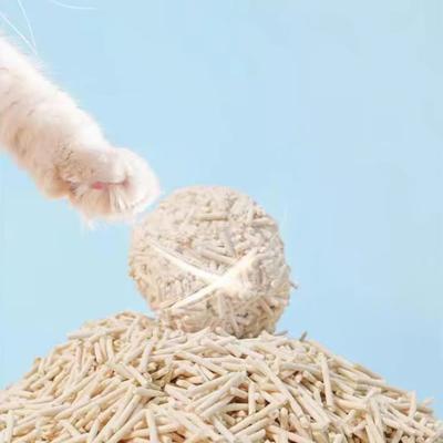 China Biodegradable Tofu Cat Litter 6L Flushable Plant Based Fast Clumping Eco Friendly Bulk for sale