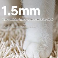 China No Tracking Pure Natural Tofu Cat Litter Low Dust Hard Clumping 6L 2.3kg Clean Paws Formula for sale