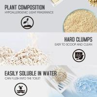 China OEM Custom Activated Carbon Tofu Cat Litter 2.3kg Advanced Deodorizing Odor Lock Pet Sand for sale