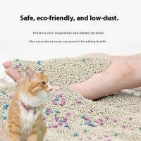 China Natural Bentonite Cat Litter 0.8-3.5mm Fast Clumping Multi-Cat Odor Absorption Solution for sale