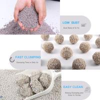 China Natural Bentonite Cat Litter 0.8-3.5mm Fast Clumping Multi-Cat Odor Absorption Solution for sale