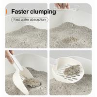 China Strong Odor Removal Heavy Duty Clumping Bentonite Cat Litter 0.8-3.5mm for Multi-Cat Homes for sale