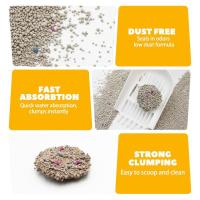 China Eco-Friendly Bentonite Cat Litter 0.8-3.5mm with Activated Carbon Odor Control Fast Clumping for sale