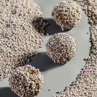 China Premium Bentonite Cat Litter 0.8-3.5mm Strong Clumping Low Dust Natural Clay for Multi-Cat Use for sale