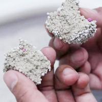 China Fragrance Customizable Clumping Bentonite Cat Litter 0.8-3.5mm for Multi Cat Strong Odor Protection for sale