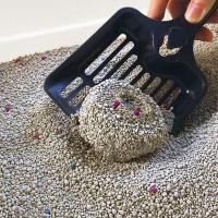 China Fragrance Customizable Clumping Bentonite Cat Litter 0.8-3.5mm for Multi Cat Strong Odor Protection for sale