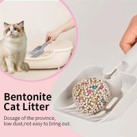 China Minimum Low Dust Bentonite Cat Litter with Rapid Liquid Absorption and Easy Cleaning Performance for sale
