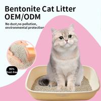 China Minimum Low Dust Bentonite Cat Litter with Rapid Liquid Absorption and Easy Cleaning Performance for sale