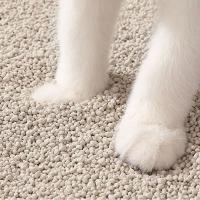 China 100% Natural Bentonite Cat Litter 0.8-3.5mm Fast Clumping Odor Control Multi-Cat for sale
