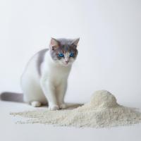 China Natural Unscented Cassava Cat Litter 300% Water Absorption Eco-Friendly Biodegradable Clumping for sale