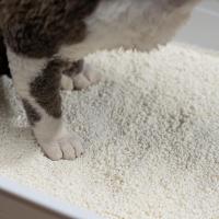 China Natural Unscented Cassava Cat Litter 100% Plant Based Clumping Eco Friendly Highly Absorbent Odor Control Biodegradable 300% Water Absorption for sale