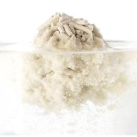 China Eco Friendly Tofu Cat Litter Natural Soybean Fiber Fast Clumping Low Dust 1.5mm 2mm 3mm for sale