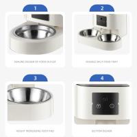 China Wholesale Smart Pet Feeder 6.5L WiFi Automatic Food Dispenser Double Bowls App Control for Multi-Cat for sale