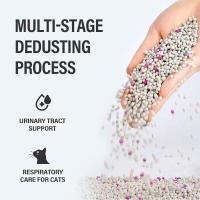 China Premium Low Dust Bentonite Cat Litter 0.8-3.5mm Strong Clumping Odor Control for sale