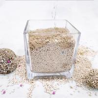 China Natural Bentonite Cat Litter 0.8-3.5mm Fast Absorption Long Lasting Freshness OEM Customizable for sale