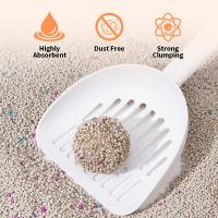 China Dust Free Bentonite Cat Litter 0.8-3.5mm Strong Clumping Odor Elimination Multi-Cat for sale