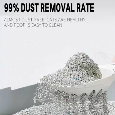 China Starhong 100% Natural Bentonite Cat Litter 0.8-3.5mm Hard Clumping Low Tracking for sale