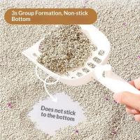 China Starhong 100% Natural Bentonite Cat Litter 0.8-3.5mm Hard Clumping Low Tracking for sale