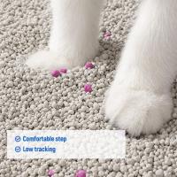 China Extra Strength Clumping Bentonite Cat Litter 0.8-3.5mm Low Dust High Absorbency for sale
