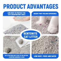 China Extra Strength Clumping Bentonite Cat Litter 0.8-3.5mm Low Dust High Absorbency for sale