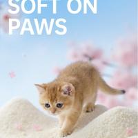 China Premium Natural Cassava Cat Litter Providing Excellent Absorption Soft Particles and Odor Control for sale