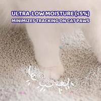 China Premium Bentonite Cat Litter with Fast Clumping Strong Absorption and Superior Odor Control for sale