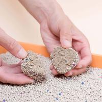 China Premium Bentonite Cat Litter with Fast Clumping Strong Absorption and Superior Odor Control for sale