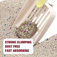 China Premium Bentonite Cat Litter with Fast Clumping Strong Absorption and Superior Odor Control for sale