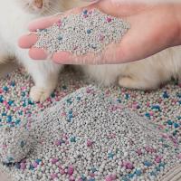China Export Quality Bentonite Cat Litter Supporting OEM Packaging Stable Supply and Customization for sale