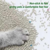 China Professional Grade Bentonite Cat Litter for Pet Stores Wholesalers and Private Labels for sale