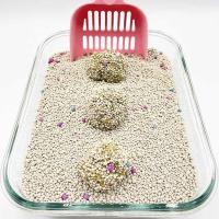 China Professional Grade Bentonite Cat Litter for Pet Stores Wholesalers and Private Labels for sale