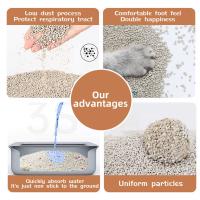 China Mineral Clay Bentonite Cat Litter Featuring Rapid Clumping Easy Cleaning and Freshness for sale
