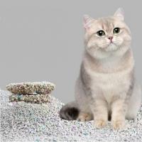 China Premium Sodium-Based Bentonite Cat Litter Fast Clumping Low Dust Strong Odor Control Pet Litter for sale