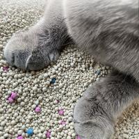 China Wholesale Sodium Bentonite Cat Litter Quick Clumping High Absorption Low Dust Cleaning for sale