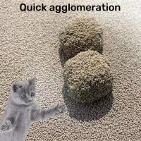 China Wholesale Sodium Bentonite Cat Litter Quick Clumping High Absorption Low Dust Cleaning for sale