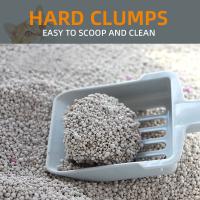 China High Absorption Bentonite Cat Litter Strong Clumping Low Dust Long Lasting Odor Control for sale
