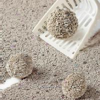 China High Absorption Bentonite Cat Litter Strong Clumping Low Dust Long Lasting Odor Control for sale
