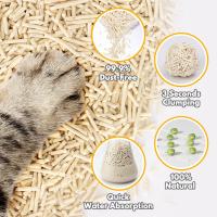 China Fine Granule Tofu Cat Litter Quick Absorption Firm Clumps Low Dust Flushable Pet Goods for sale