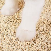 China OEM/ODM Tofu Cat Litter Natural Plant Based Fast Clumping Low Dust Pet Litter for sale