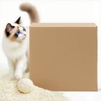 China Premium Pet Goods Eco-Friendly Quick Absorbing Strong Clumping Pet Supply Cassava Cat Litter for sale