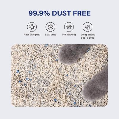 China Eco Friendly Rapid Absorption Strong Clumping Low Dust Tofu Bentonite Mixed Cat Litter for sale