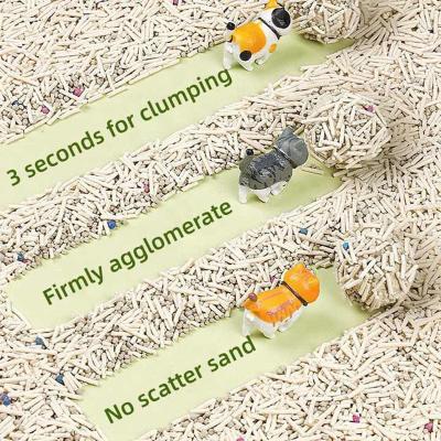 China Quick Absorbing Firm Clumping Odor Control Premium Accesorios Mascotas Tofu Bentonite Mixed Cat Litter for sale