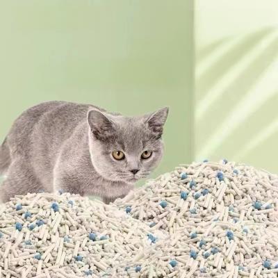 China Professional Pet Supply Low Dust Strong Clumping Tofu Bentonite Mixed Cat Litter for sale