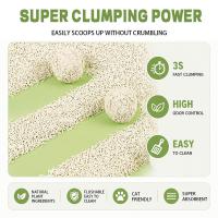 China Natural Soybean Fiber Premium Quality Sustainable Manufacturing Custom Brand Tofu Cat Litter for sale
