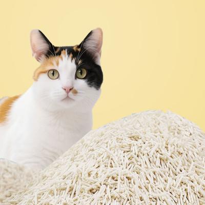 China Firm Easy Scooping Clumps Minimal Dust Professional Production Facility Tofu Cat Litter for sale