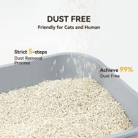 China High Absorbency Firm Clumps Minimal Dust Sustainable Material Factory Wholesale Tofu Cat Litter for sale